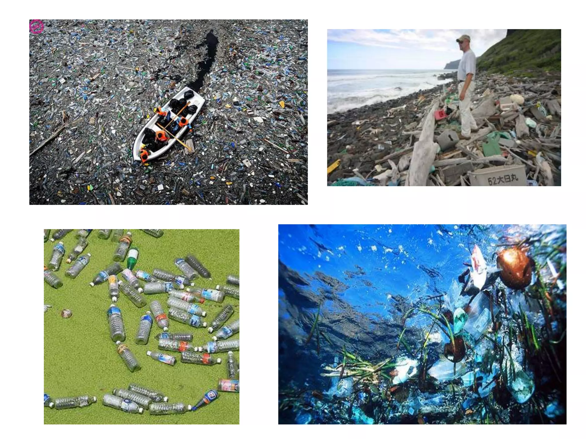 Bad effects of plastics | PPT