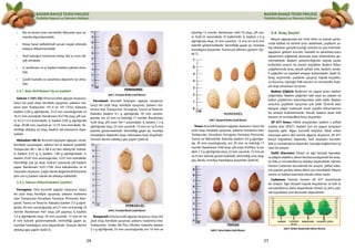 Badem Bahçesi Tesisi Projesi | PDF