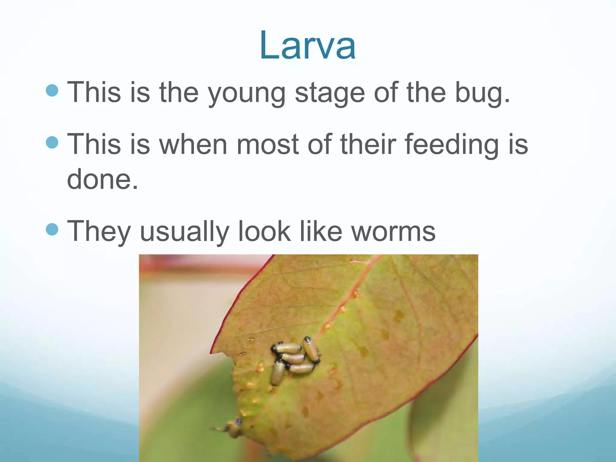 Example of a Bad Presentation | PPT