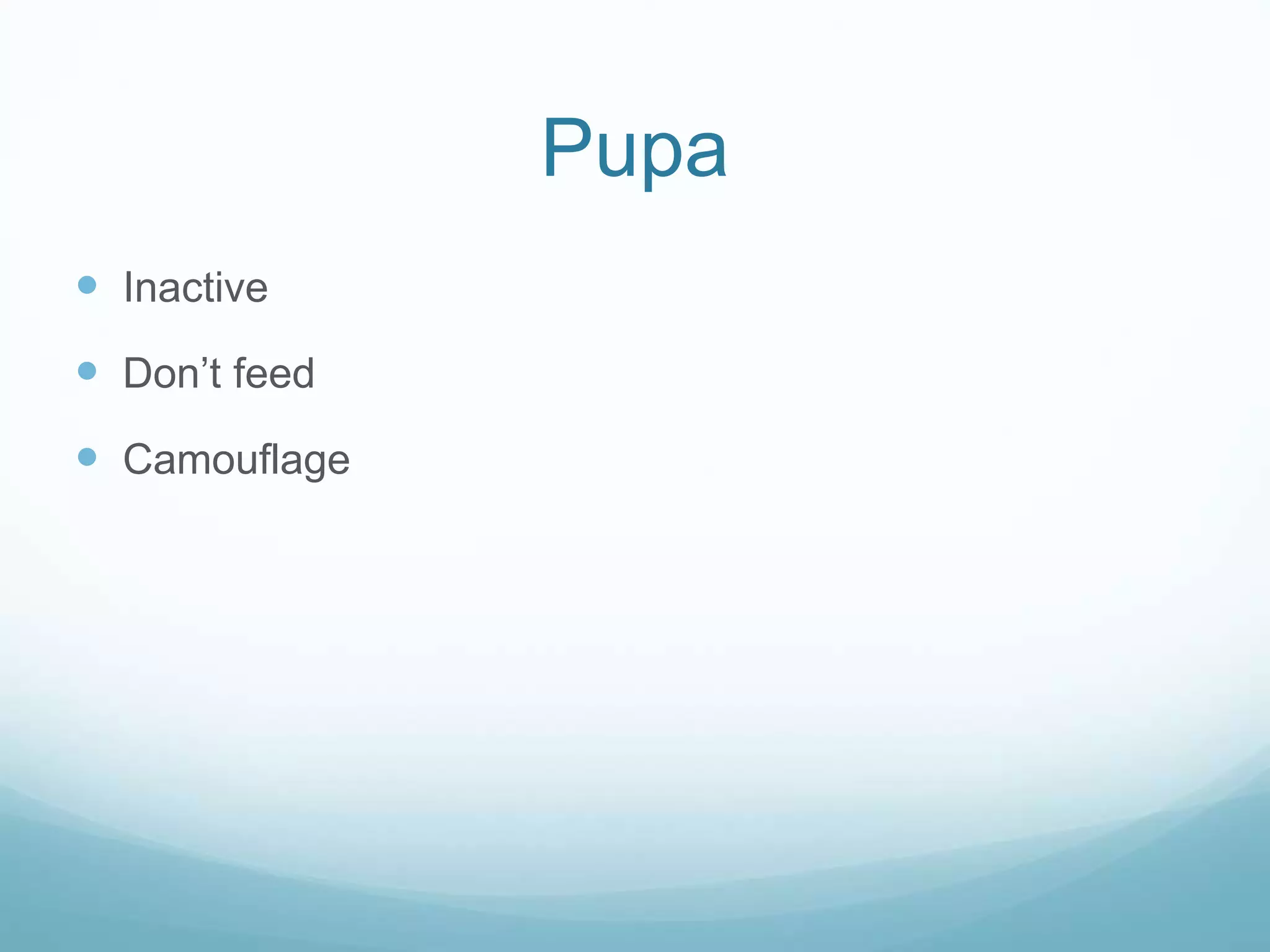 Example of a Bad Presentation | PPT