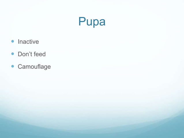 Example of a Bad Presentation | PPT