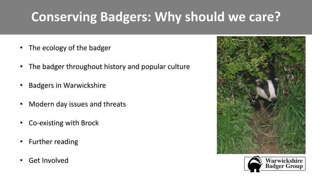 Conserving Badgers: Why should we care? | PPT