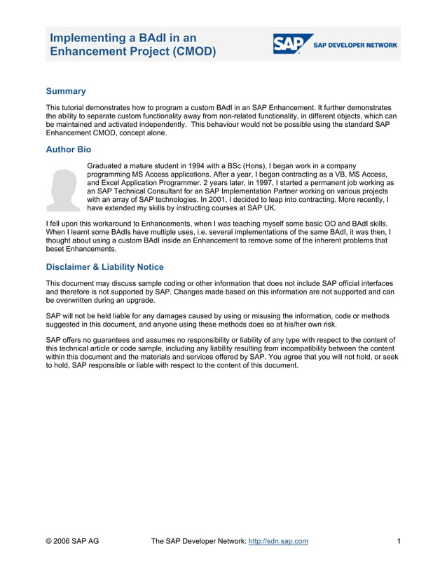 BADI IMPLEMENTATION.pdf | Programming Languages | Computing