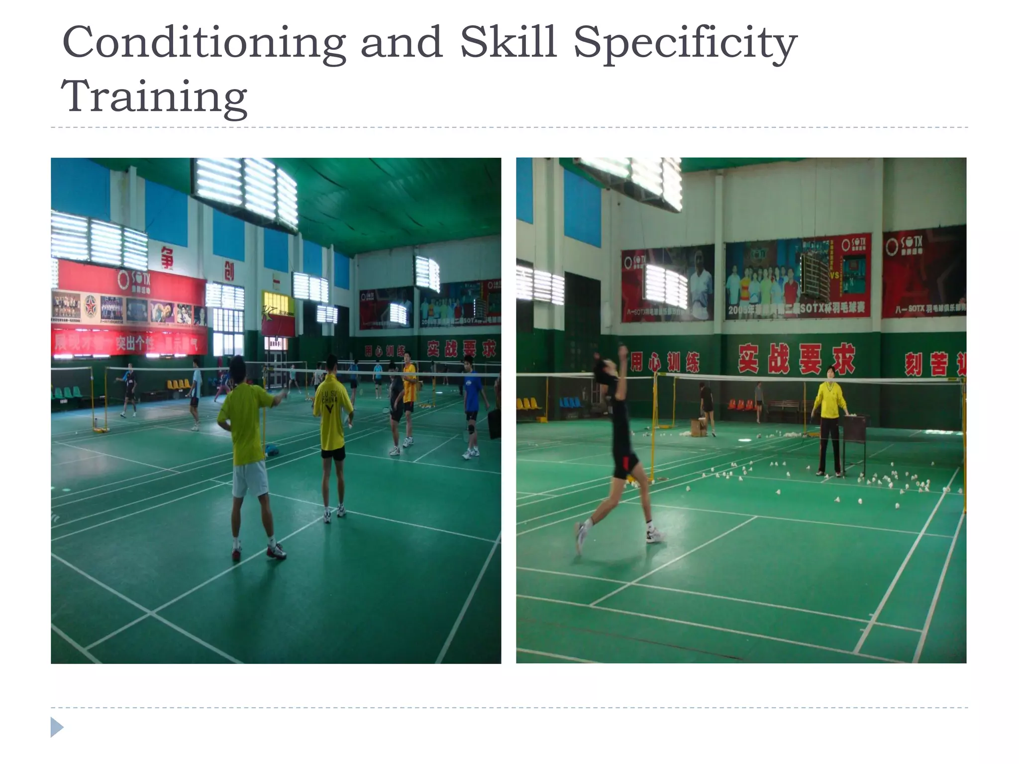 Badminton Skills and Drills.pdf