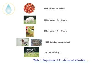 Badrinath And Prerna Aggarwal | PPT