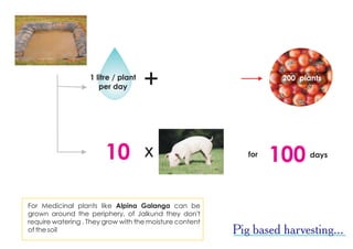 Badrinath And Prerna Aggarwal | PPT