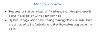 Bad smell in nose | PDF