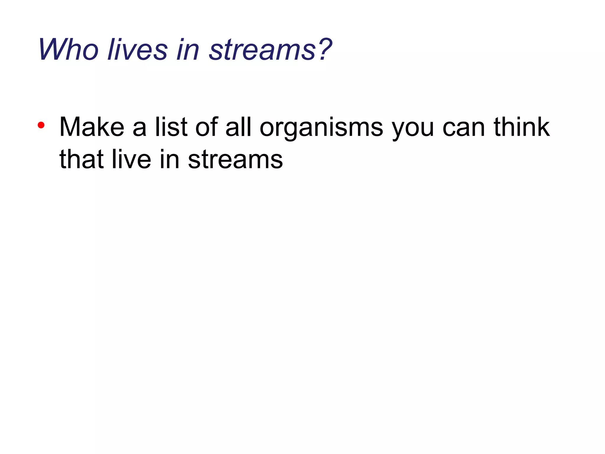 Bae 495r Stream Ecology | PPT