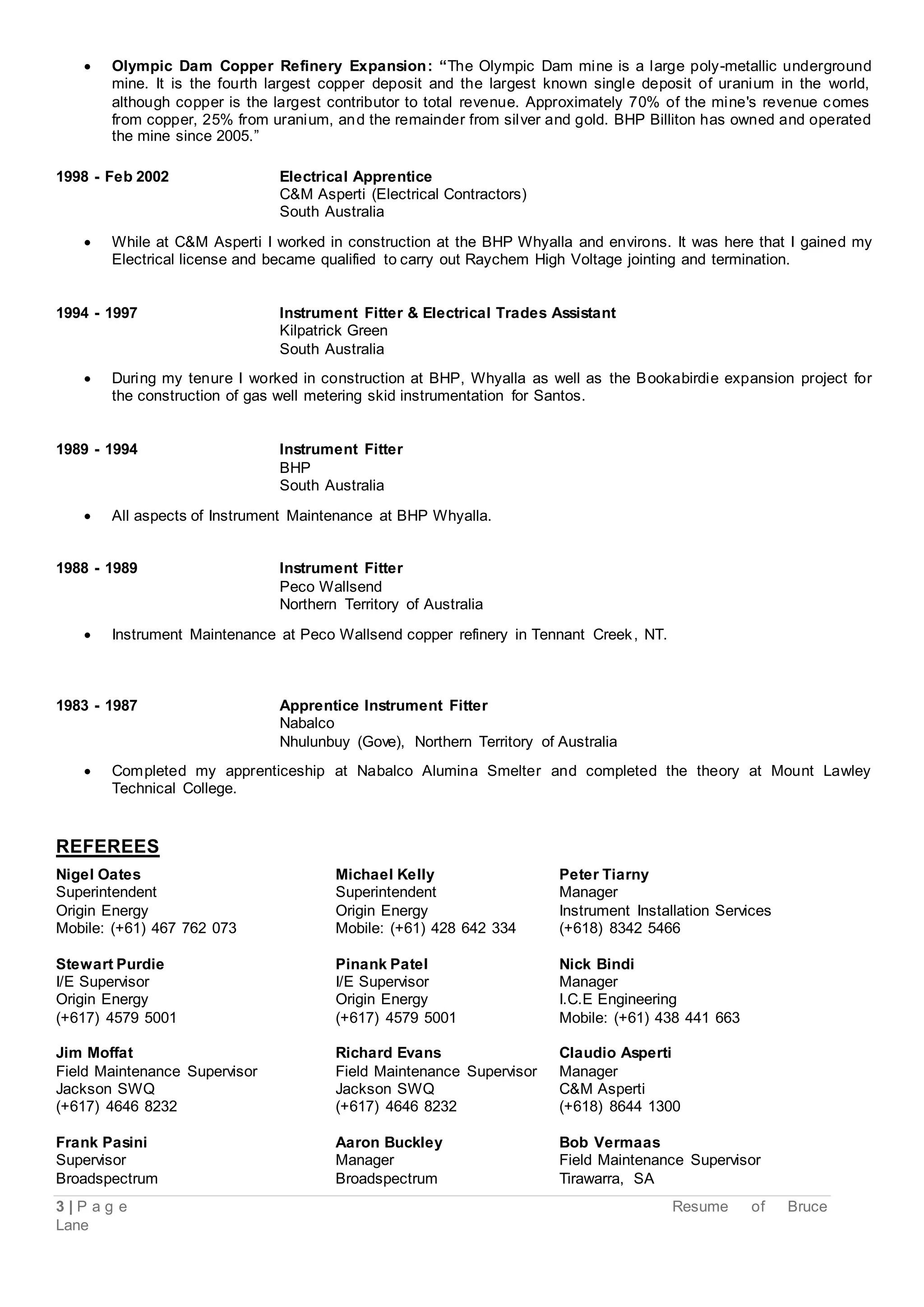 Resume of Bruce Lane | DOCX | Power and Energy Industry | Industries