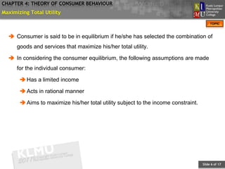 BAEB602 Chapter 4: Theory of Consumer Behaviour | PPTX