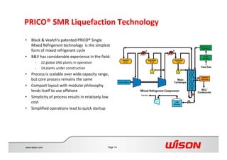 Wison Offshore & Marine - FLNG solution Mar 2015 | PDF