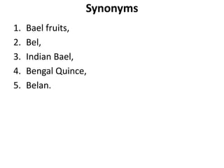 Indian Bael - Bael fruits/Bel. | PPTX