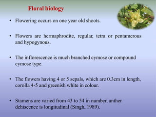 Baelgiri floral biology | PPT | Free Download