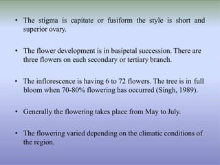 Baelgiri floral biology | PPTX