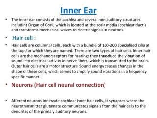 BAEP, BERA, BEP, Brainstem auditory evoked potential By Murtaza Syed | PPT