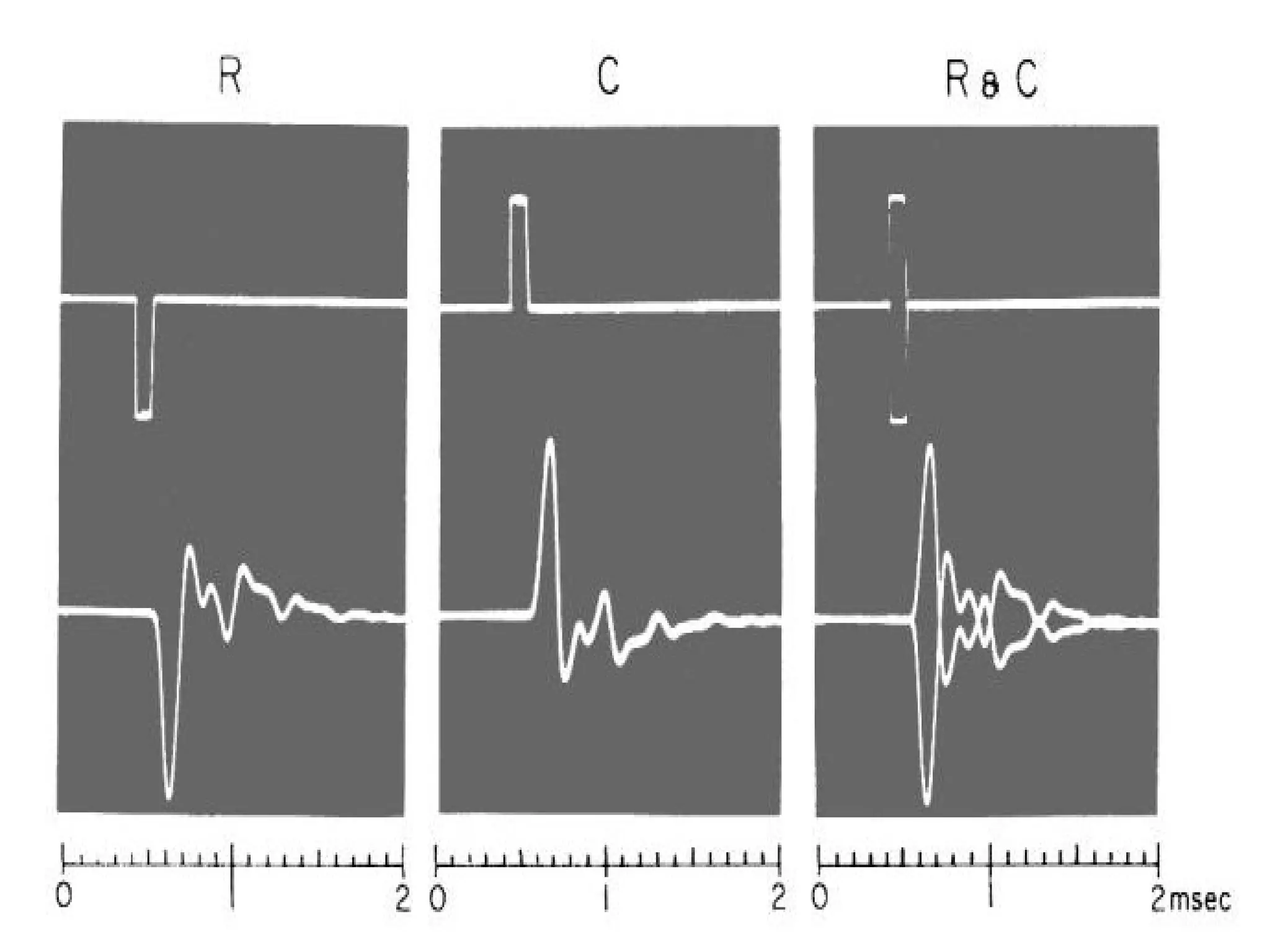 Anatomy of Ear and BERA with its technical aspects. by Murtaza. March ...