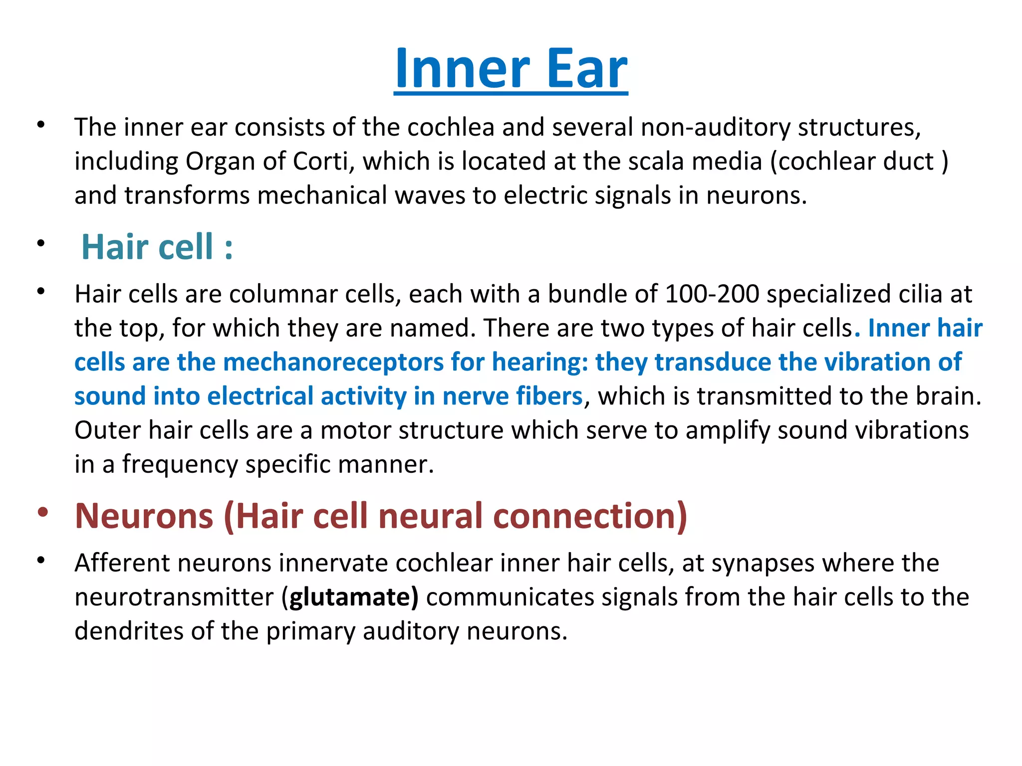 Anatomy of Ear and BERA with its technical aspects. by Murtaza. March ...