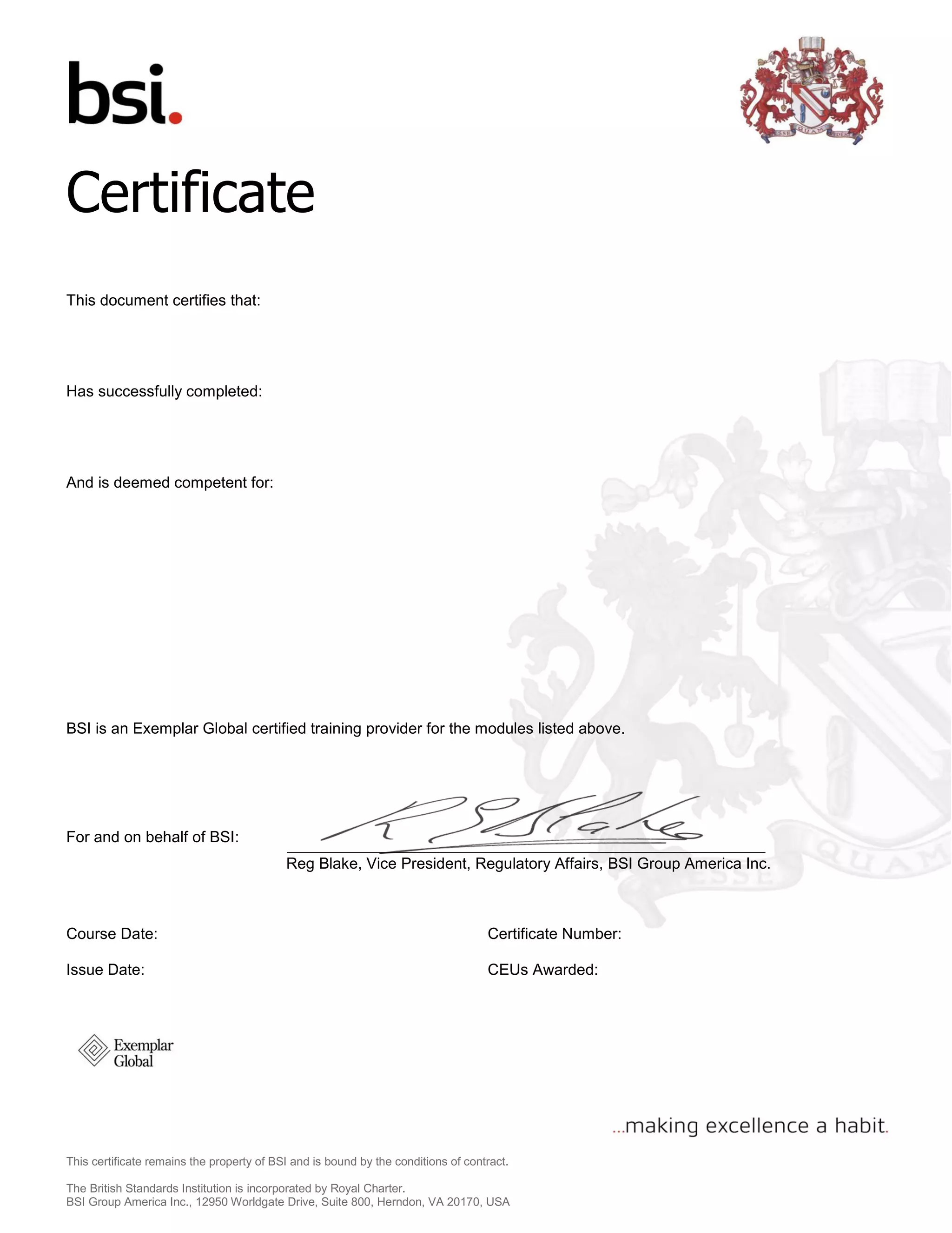 BSI 13485 Certificate8499762-155534 | PDF