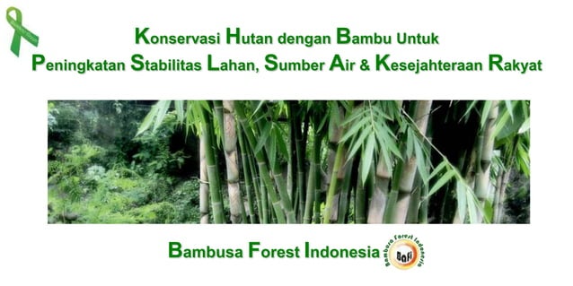 Konservasi Hutan dengan Bambu untuk Oeningkatan Stabilitas Lahan, Sumber air dan Kesejahteraan ...