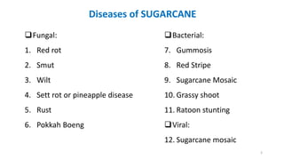 Common diseases of Sugarcane as found in India | PDF