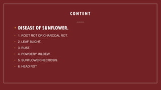 Diseases of Sunflower as observed in India | PDF