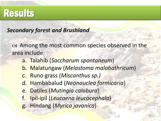 Bagacay_Abandoned_Mine_ Samar | PDF | Geology | Science