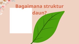 Bagaimana struktur daun MATERI IPA.pptx