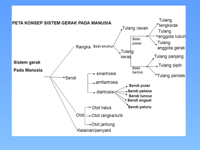 Bagaimana Tubuh kita bergerak PPT alat gerak | PPTX