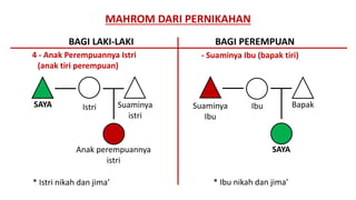 Bagan Mahrom, islamic, religion, susunan mahrom dan tidak mahrom bagi ...