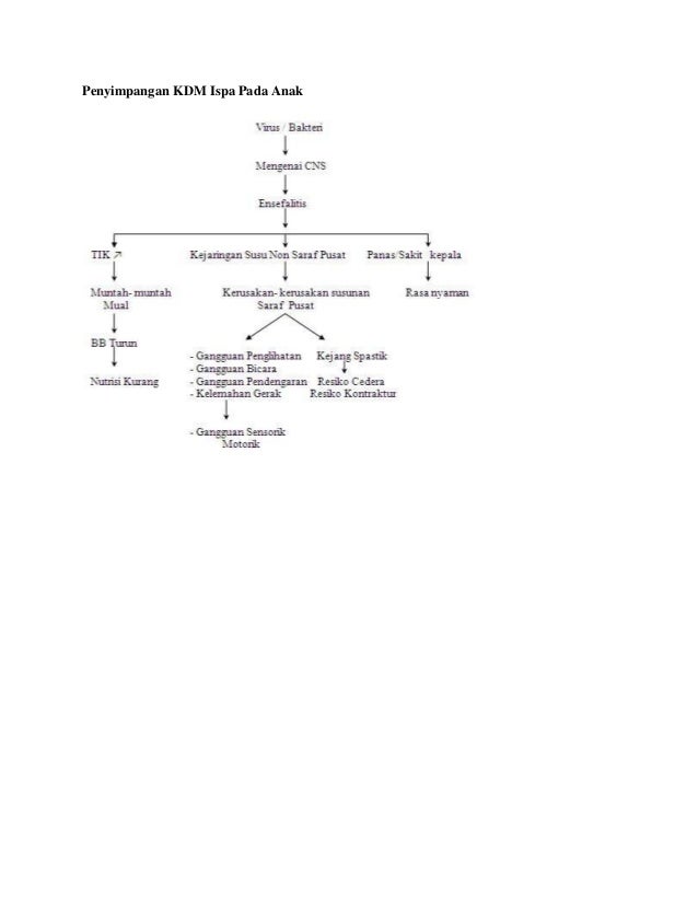 Bagan pathway ispa pada anak