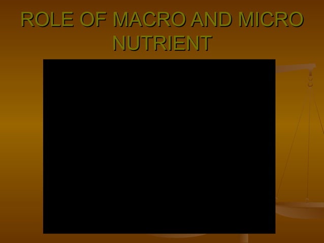 MICRO AND MACRO NUTRITION IN PLANT | PPT | Nutrition | Healthy Living