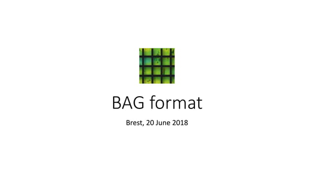 Bathymetric Attributed Grid (BAG) format | PPT