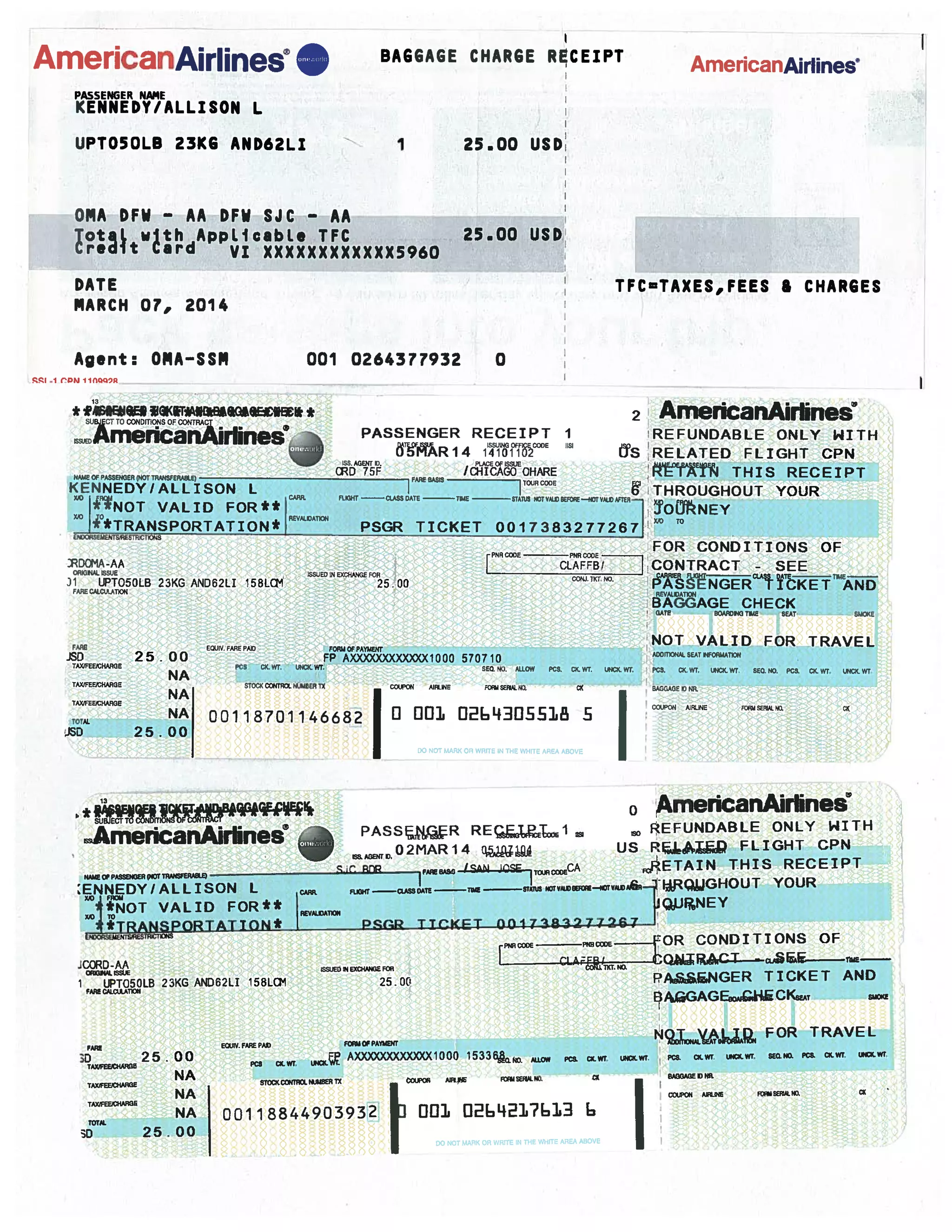Baggage fees receipts | PDF