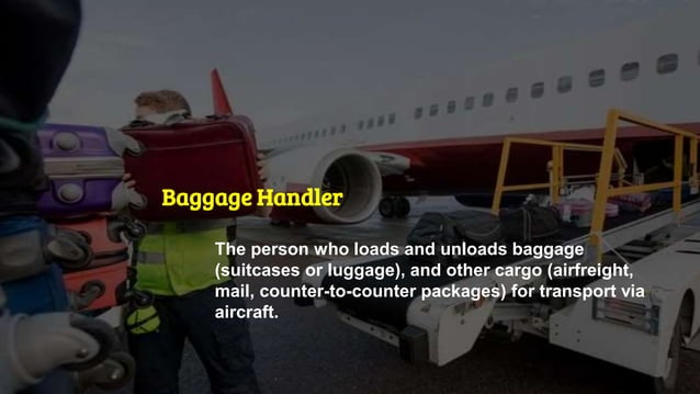 baggage handling-1 (1).pptx | Air Travel | Travel Type