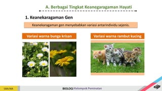 Bagi 02. PPT Biologi X - k13 keanekaramagan hayati.pptx