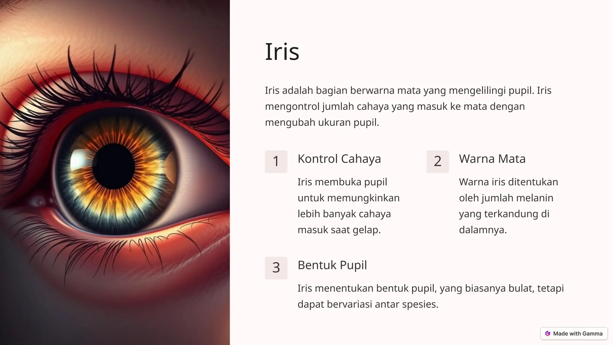 Bagian-bagian-Mata-dan-Fungsinya.pptx kelas 5 | PPTX