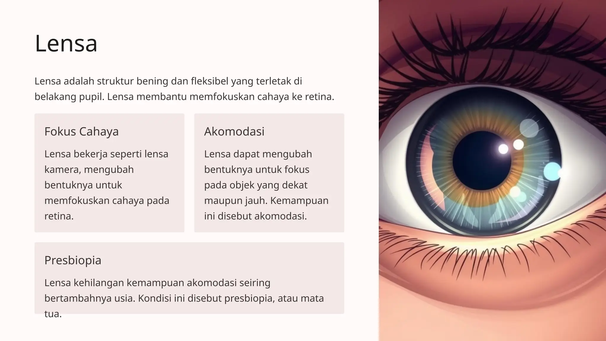 Bagian-bagian-Mata-dan-Fungsinya.pptx kelas 5 | PPTX