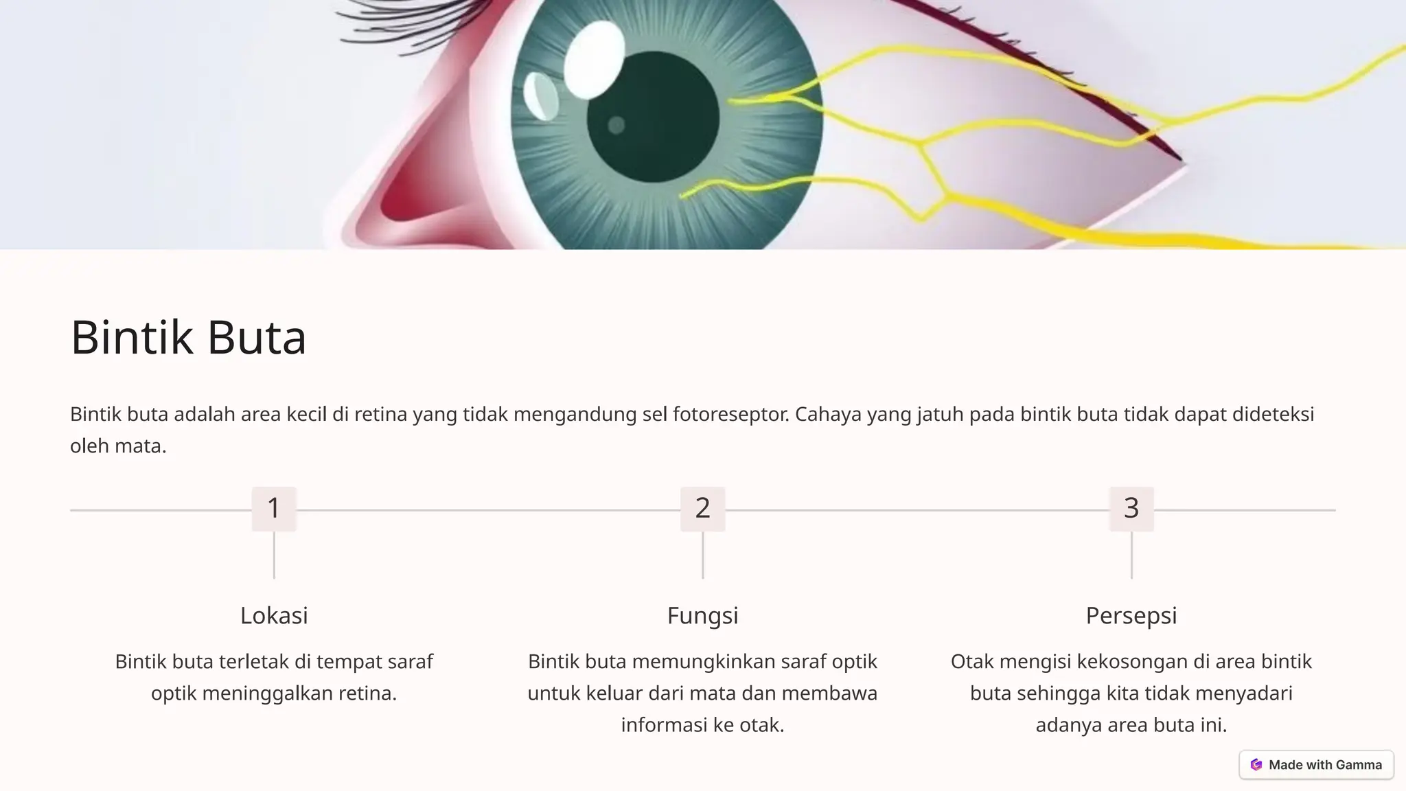 Bagian-bagian-Mata-dan-Fungsinya.pptx kelas 5 | PPTX