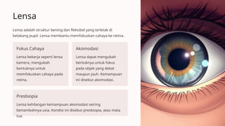 Bagian-bagian-Mata-dan-Fungsinya.pptx kelas 5 | PPTX