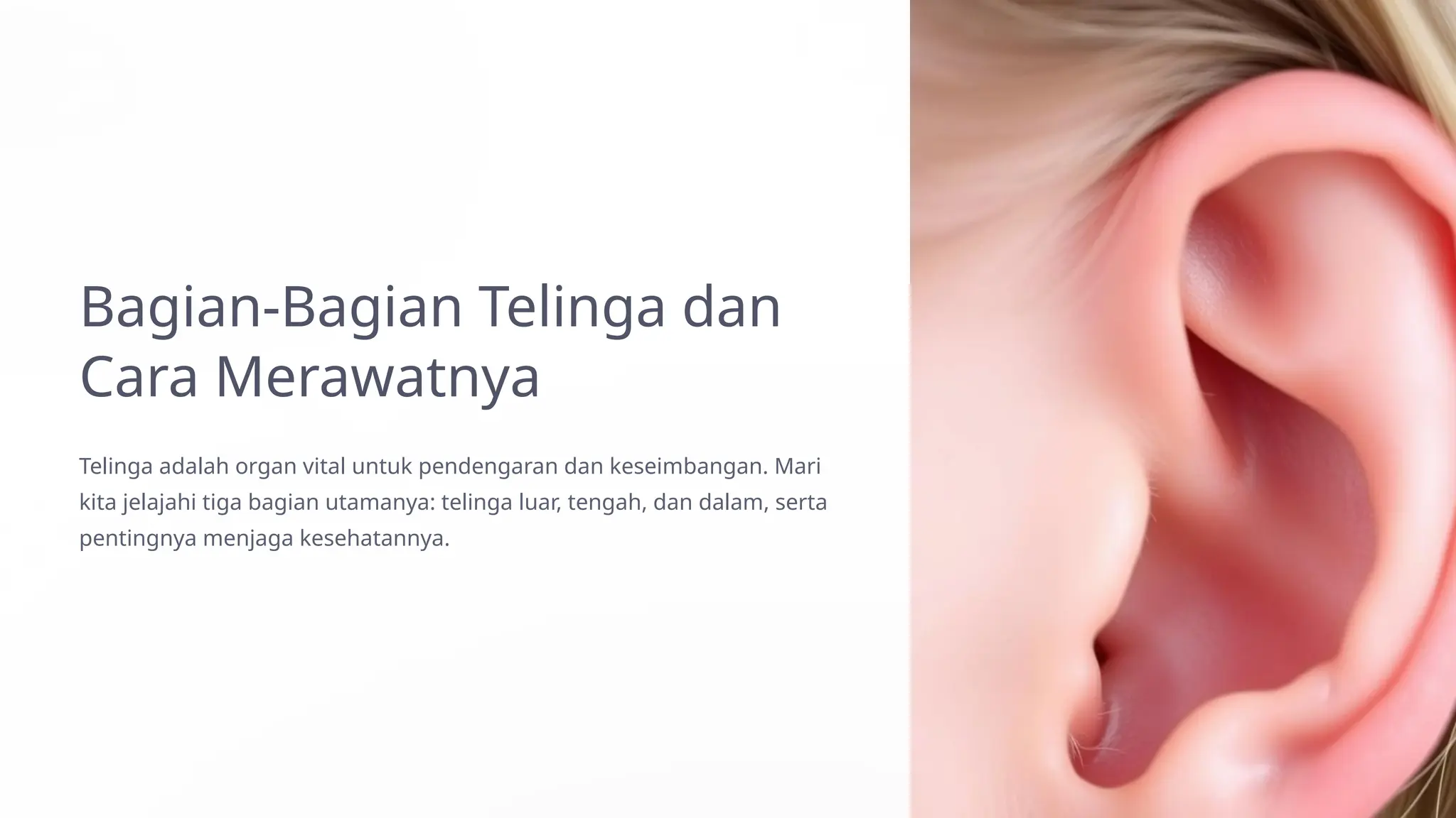 Bagian-Bagian-Telinga-dan-Cara-Merawatnya (1).pptx