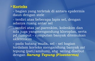 Bagian bagian-tumbuhan | PPT