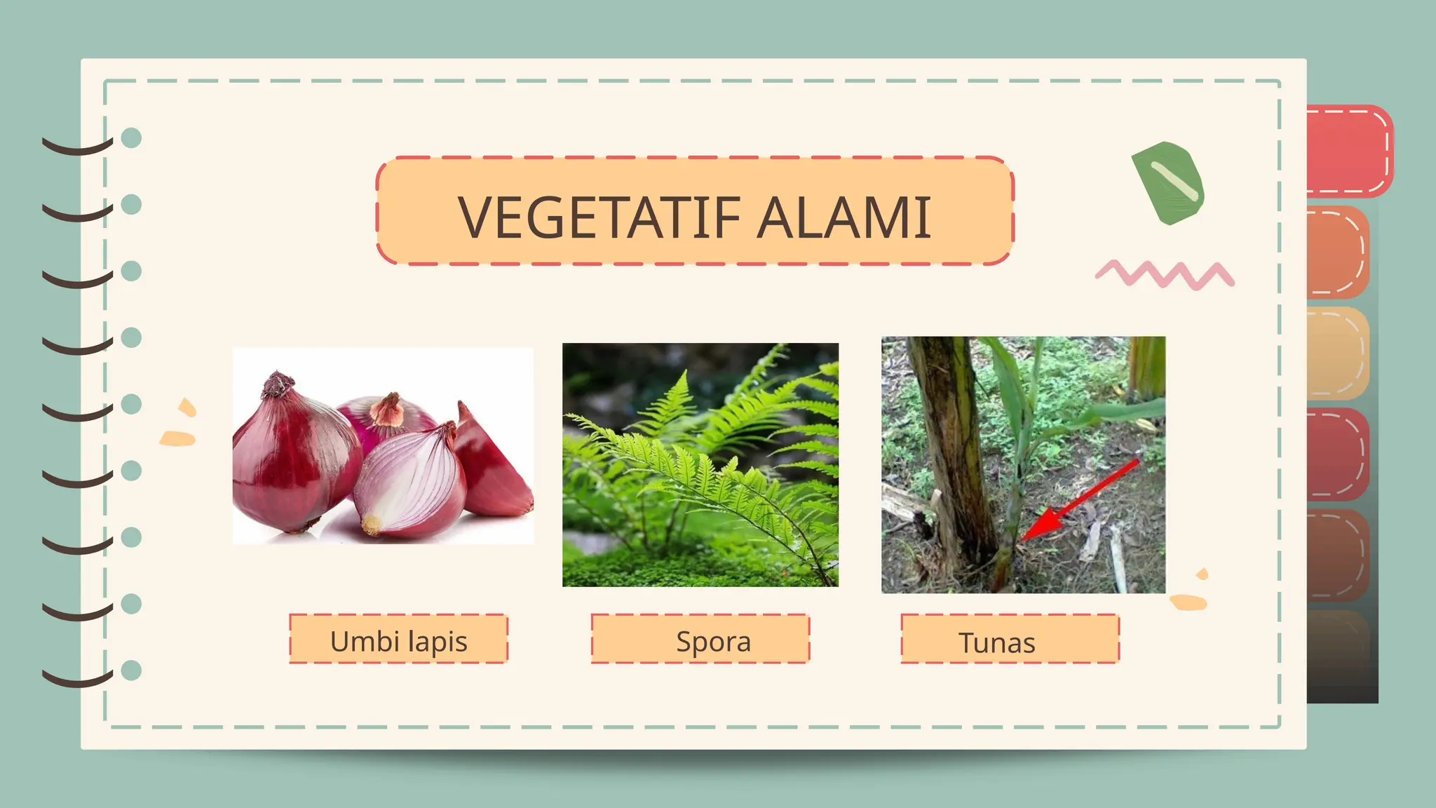 PPT materi tentang Bagian-bagian bunga dan fungsinya kelas IV Fase B | PPTX