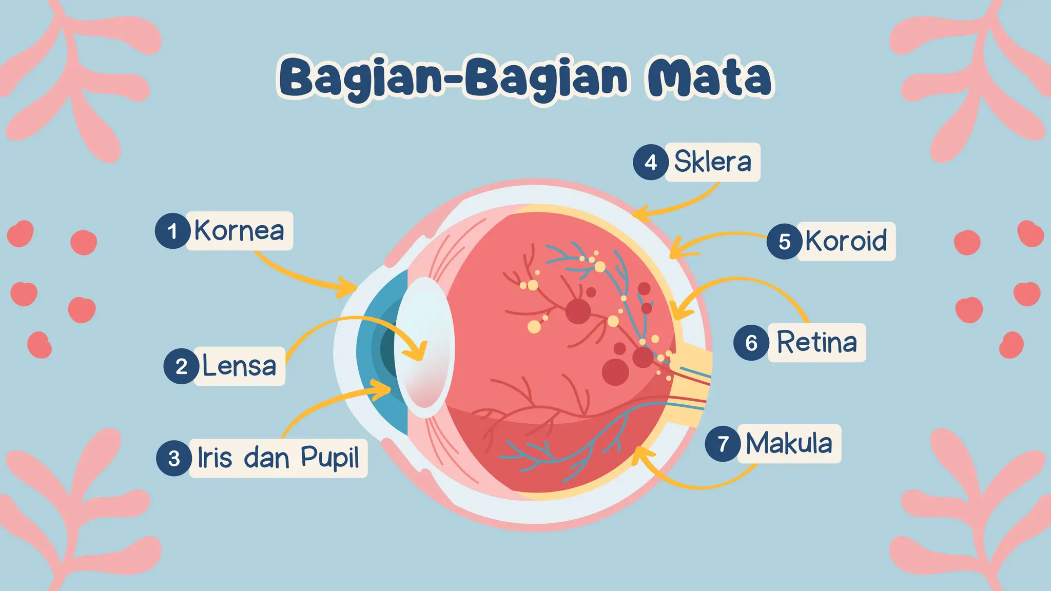 Bagian-bagian pada Mata Presentasi Pendidikan Biru dan Merah Muda ...