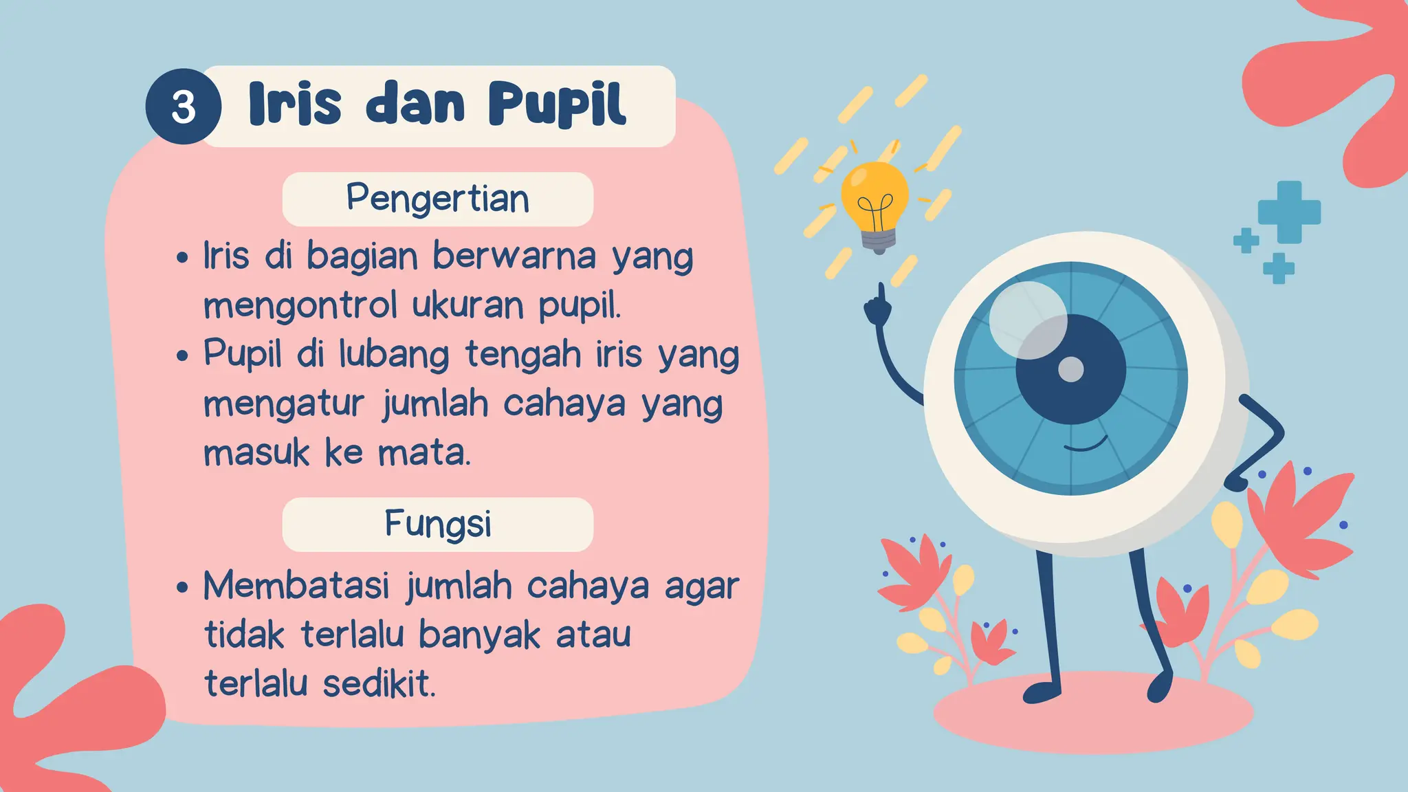 Bagian-bagian pada Mata Presentasi Pendidikan Biru dan Merah Muda ...