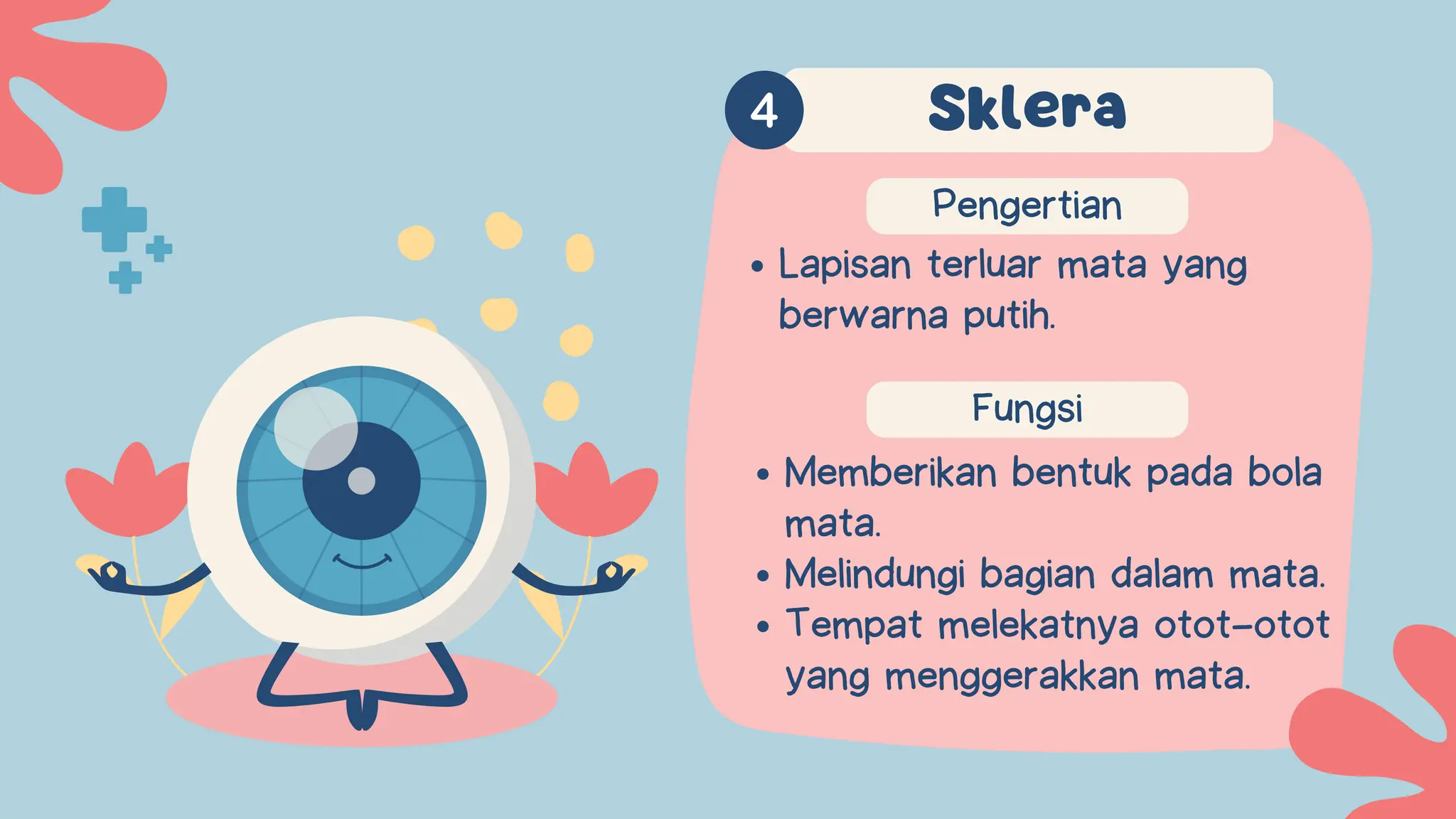 Bagian-bagian pada Mata Presentasi Pendidikan Biru dan Merah Muda ...