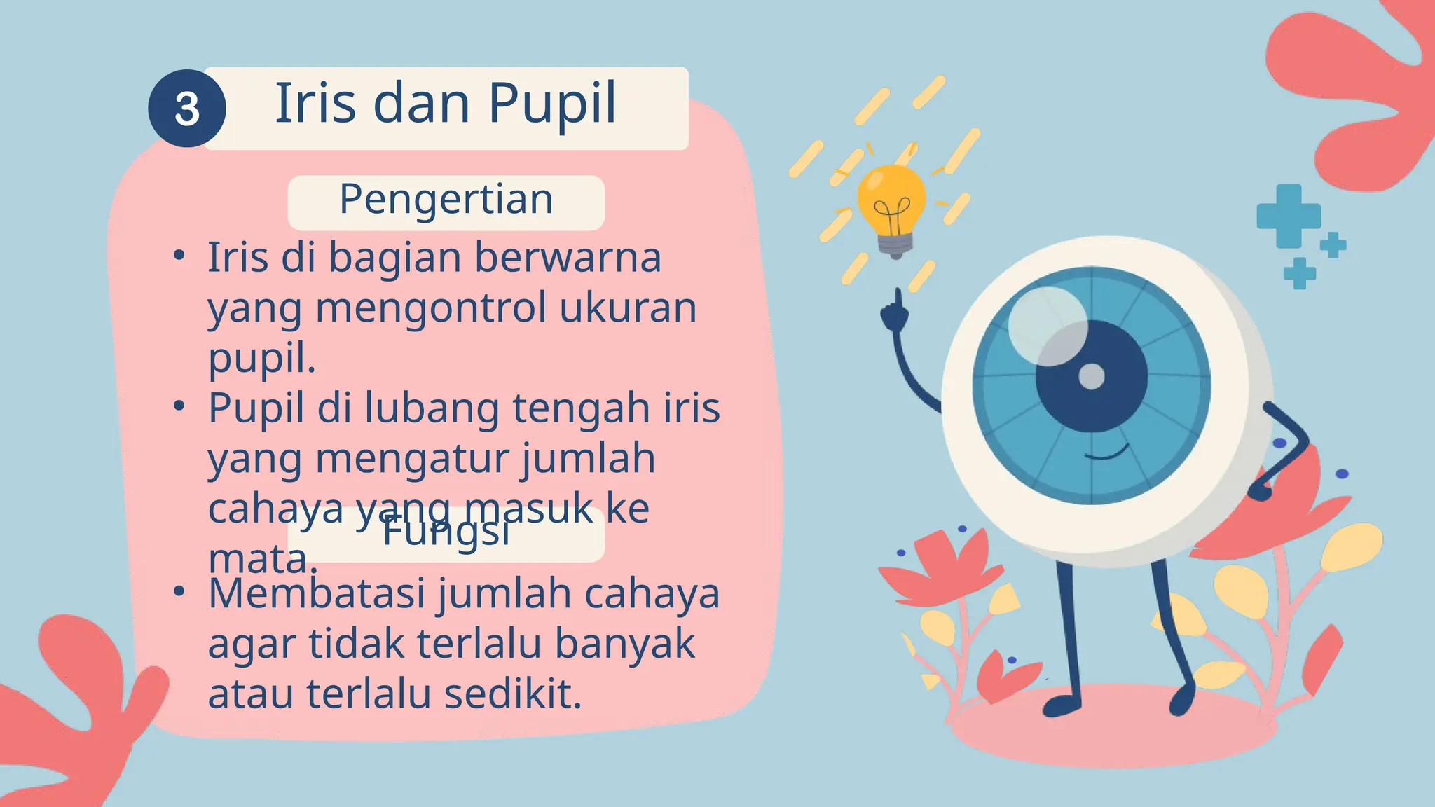 Bagian-bagian pada Mata Presentasi Pendidikan Biru dan Merah Muda ...