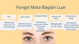 Bagian-bagian pada Mata Presentasi Pendidikan Biru dan Merah Muda ...