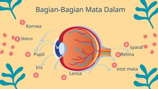 Bagian-bagian pada Mata Presentasi Pendidikan Biru dan Merah Muda ...