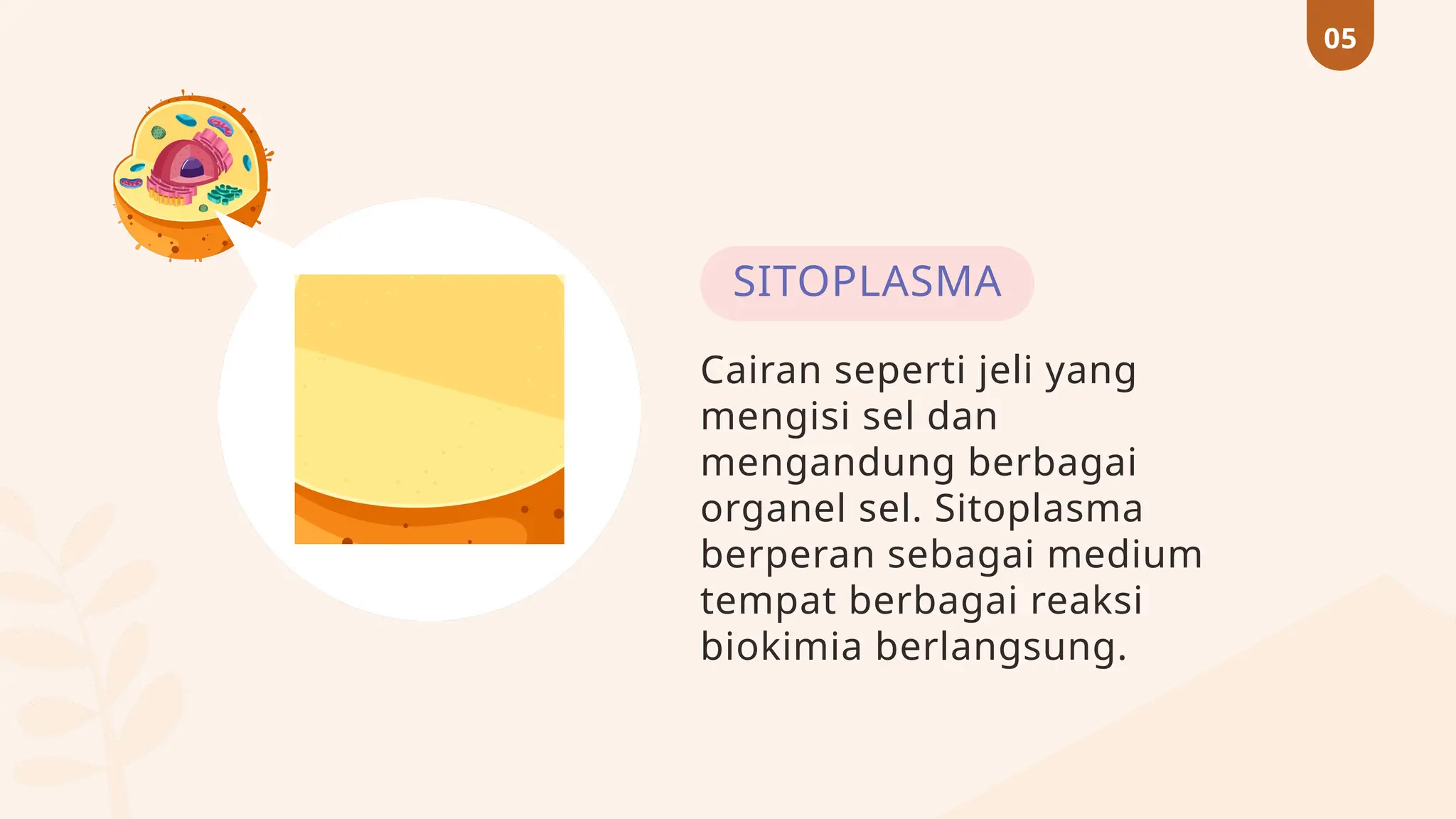 BAGIAN-BAGIAN SEL HEWAN beserta nama organelnya.pptx