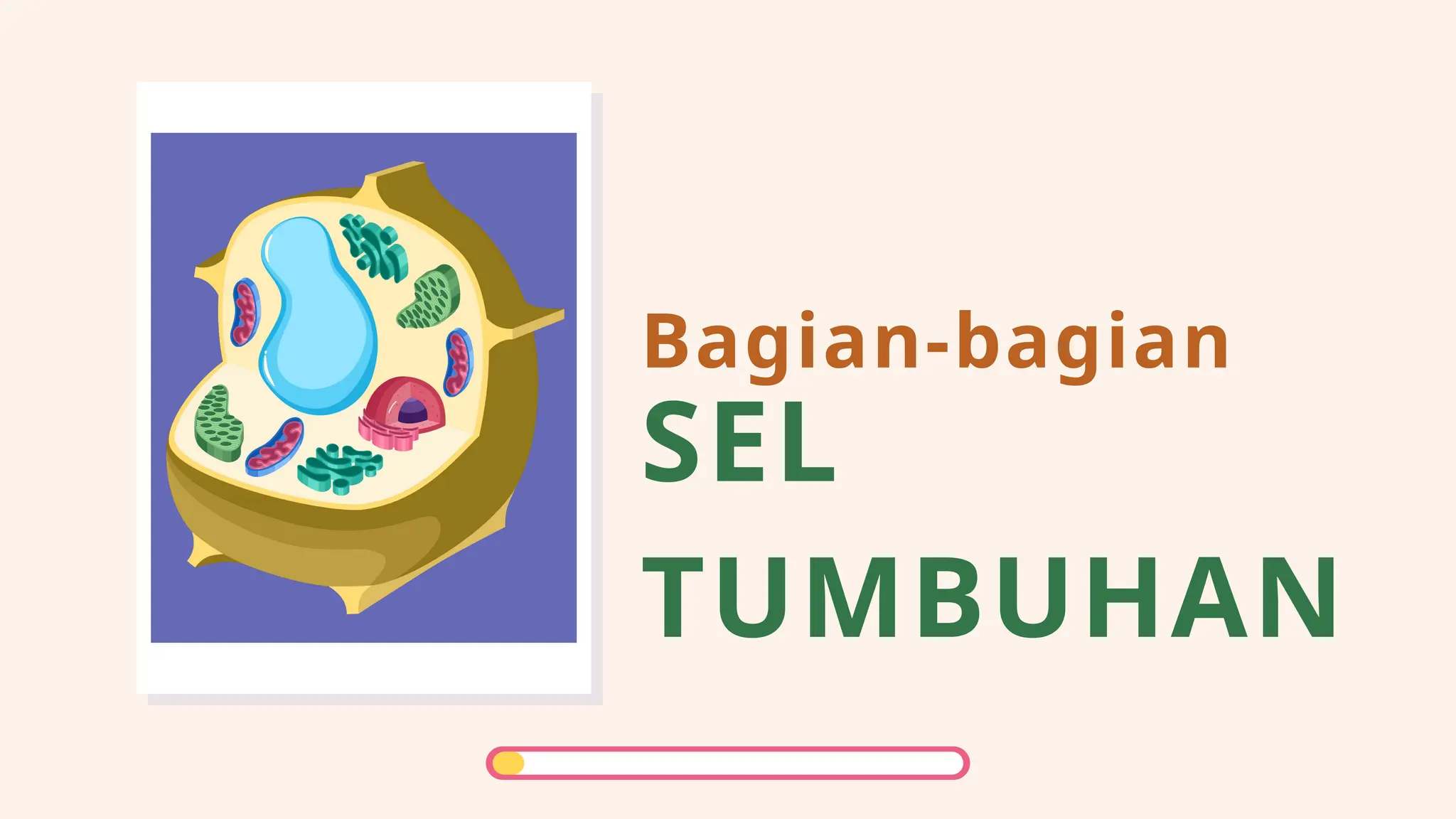 BAGIAN-BAGIAN SEL TUMBUHAN beserta Nama organelnya.pptx
